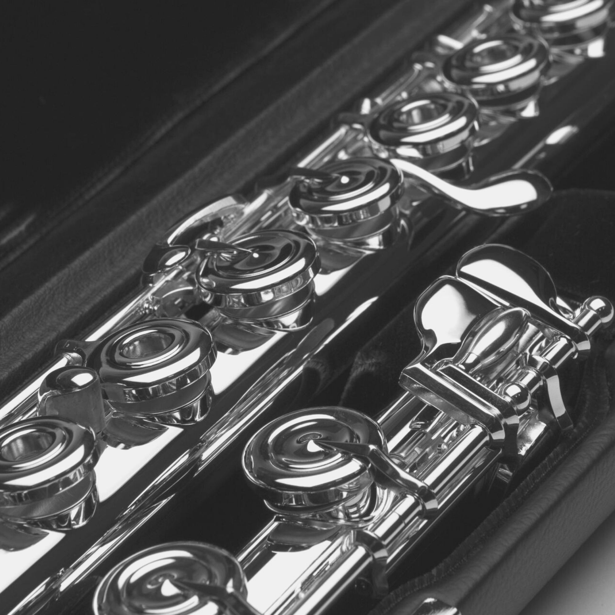 classe de flûte anne thivierge conservatoire de musique de rimouski ...